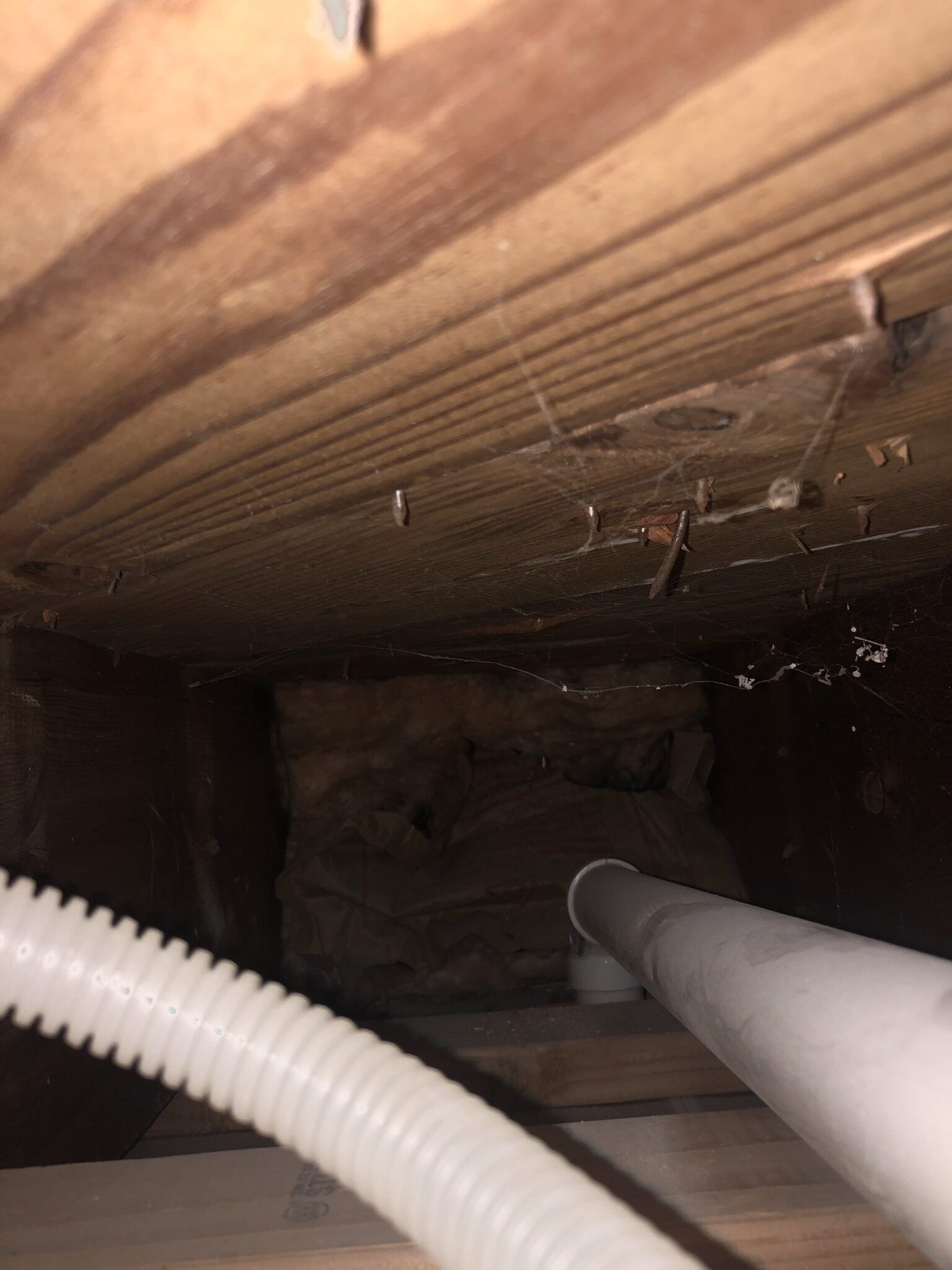 How to Fit a Vertical Plumbing Pipe - Icon Home Inspectors
